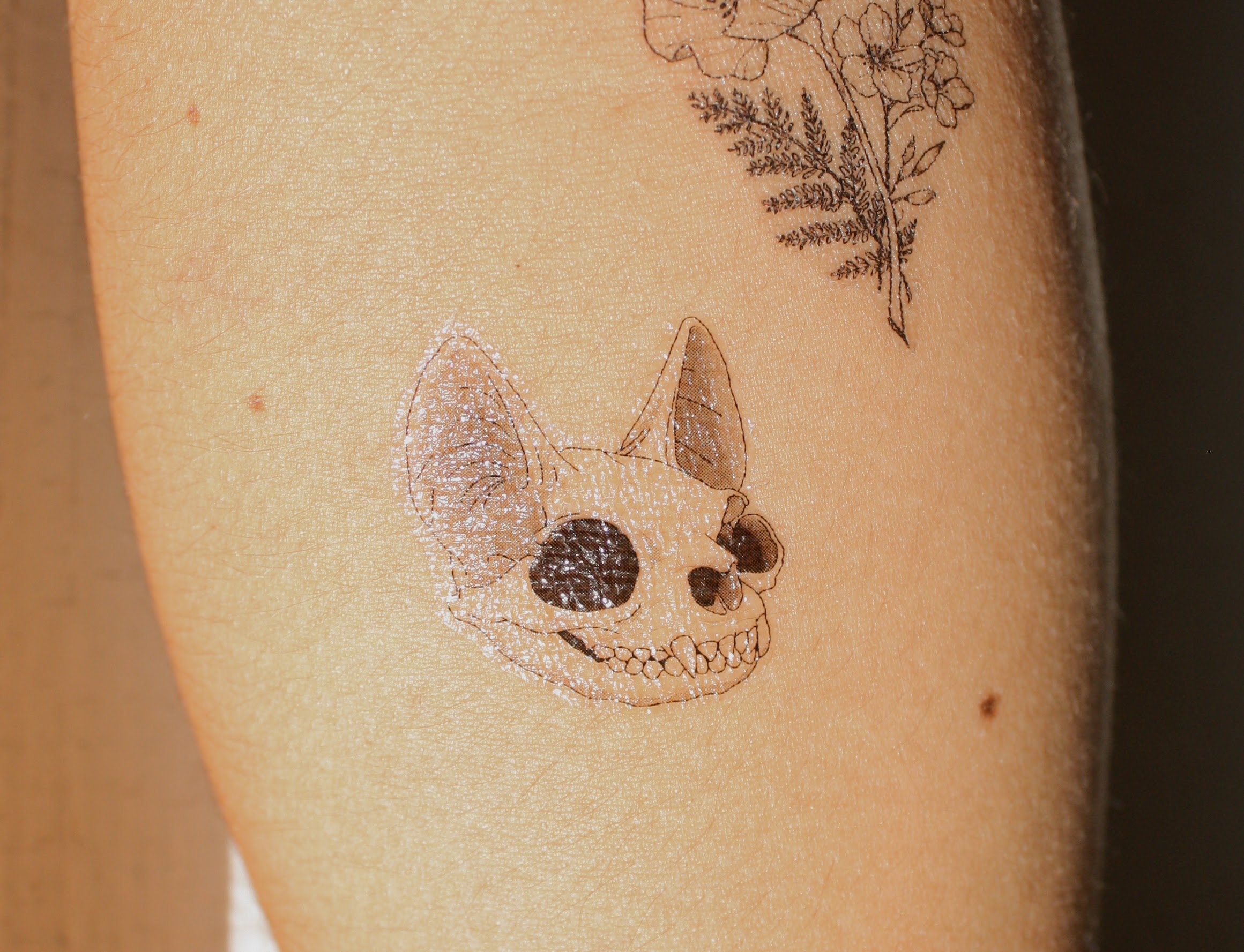 Cute Cat Skull Tattoo