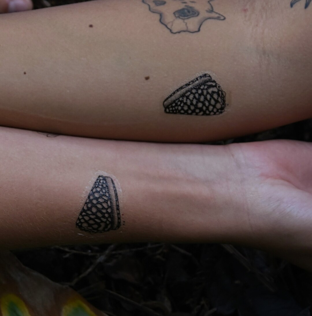 Cone Snail Temporary Tattoo ocean Animal Shell - Etsy
