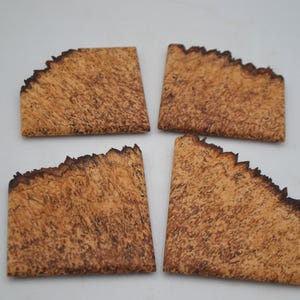 Live-edge Spalted Maple Burl Wood Coasters, Stabilized - Set of 4 - Etsy