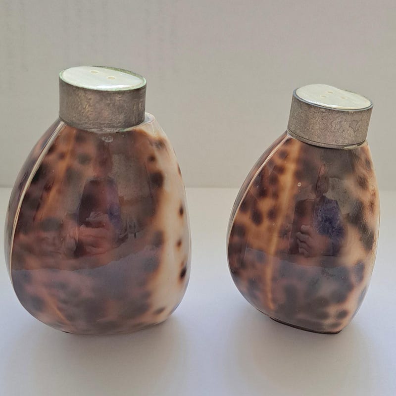 Shaker Shaker With Cowries - Etsy UK