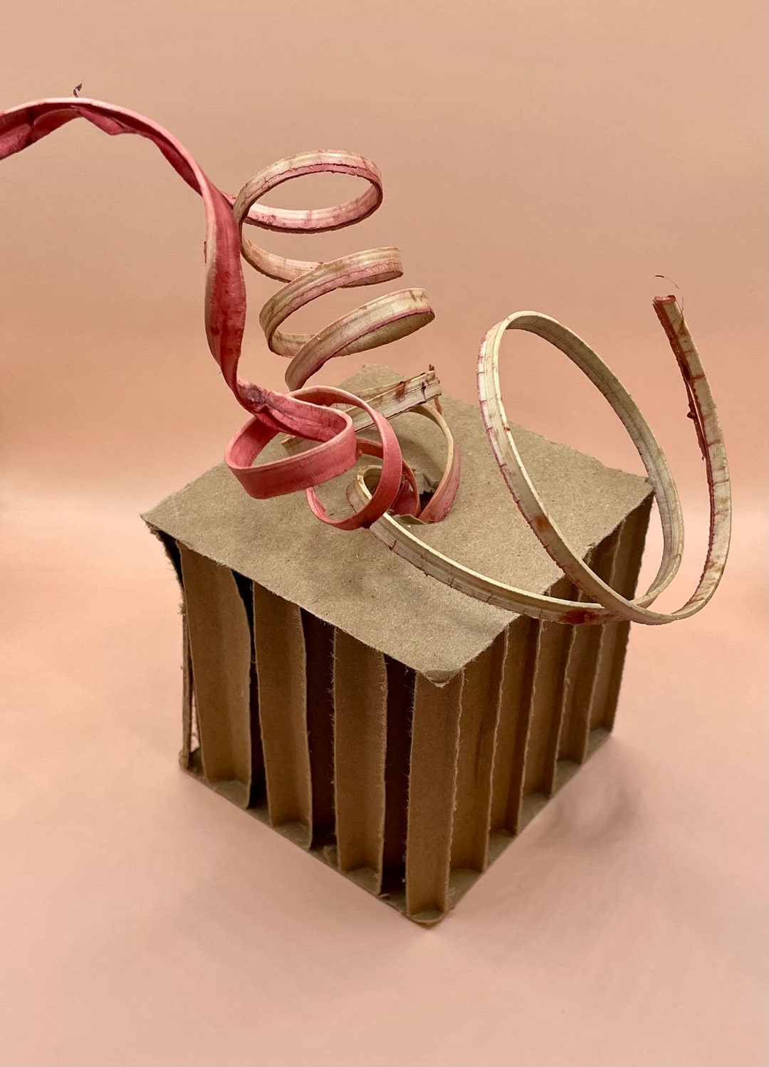 Jack in the Box Inspired Bunny Toy Cardboard and Palm Leaf Based Small ...