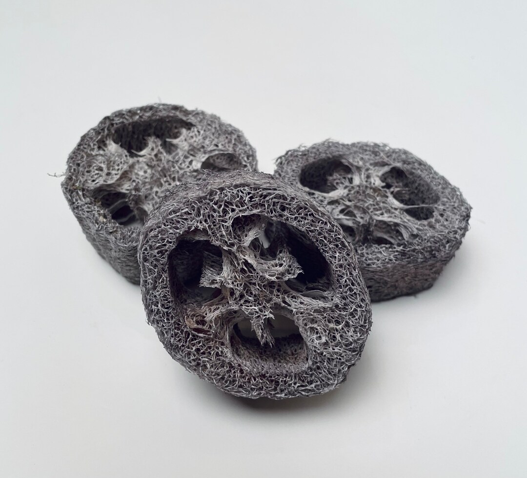 Butterfly Banana Loofahs for Small Pets Butterfly Pea Flowers - Etsy