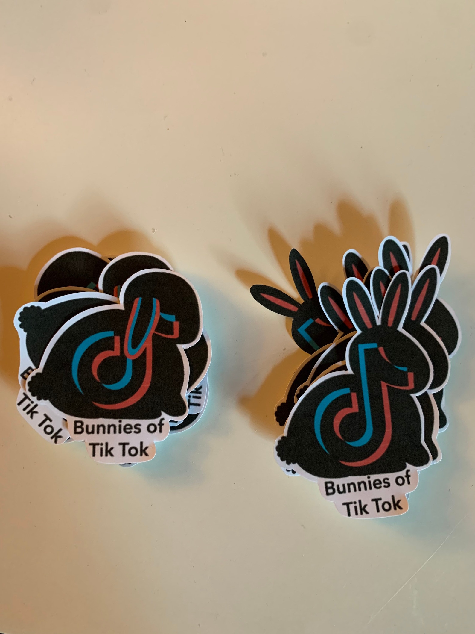 Tik Tok Sticker Bunnies of Tik Tok Sticker Tik Tok Decal | Etsy
