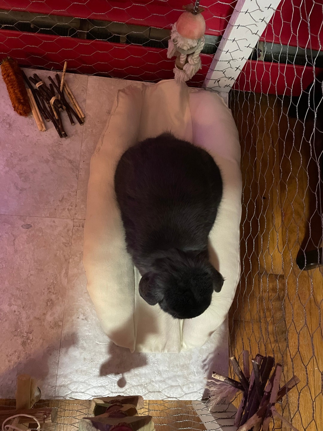 The Hot Bun Beds - Cuddle Beds for Bunnies, Snuggles Beds for Rabbits ...