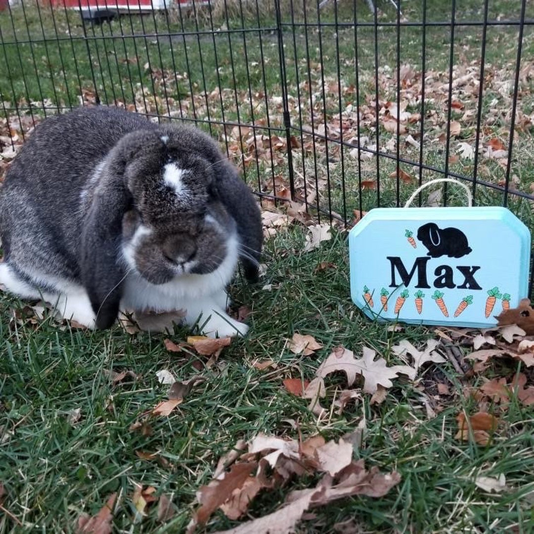Bunny Name Sign, Decor for Bunnies, Decoration for Rabbits, Rabbit Name ...