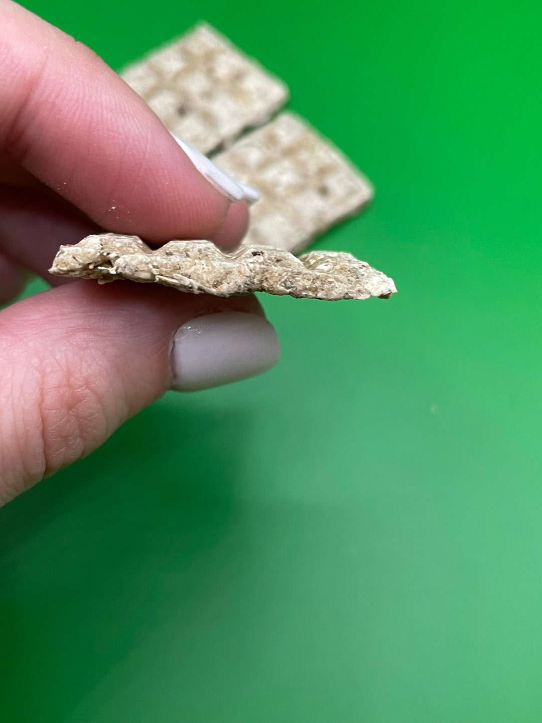 Kitty Kandi Catnip and Oats Treats for Cats, Chocolate Bar Inspired Cat ...