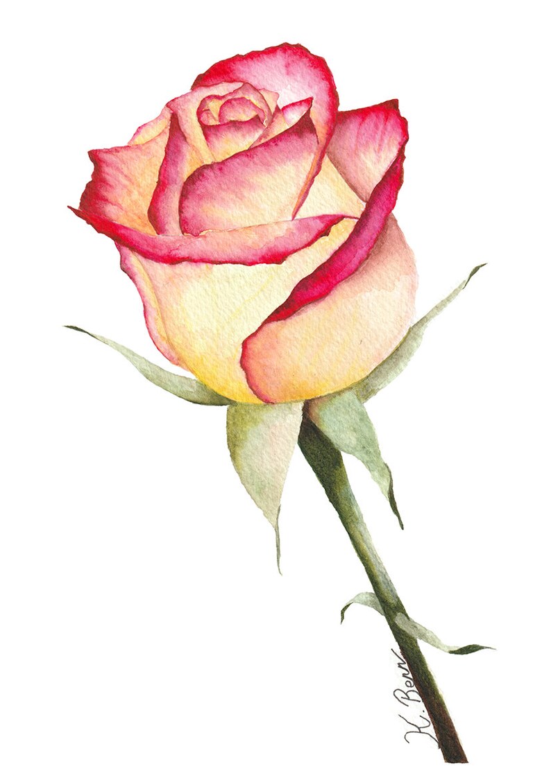 Arte de la flor de la rosa de la acuarela / Pintura de la - Etsy España