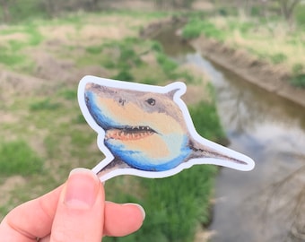 Bite Me, Shark Sticker, Funny Decals, Vinyl Stickers, Cute Stickers ...