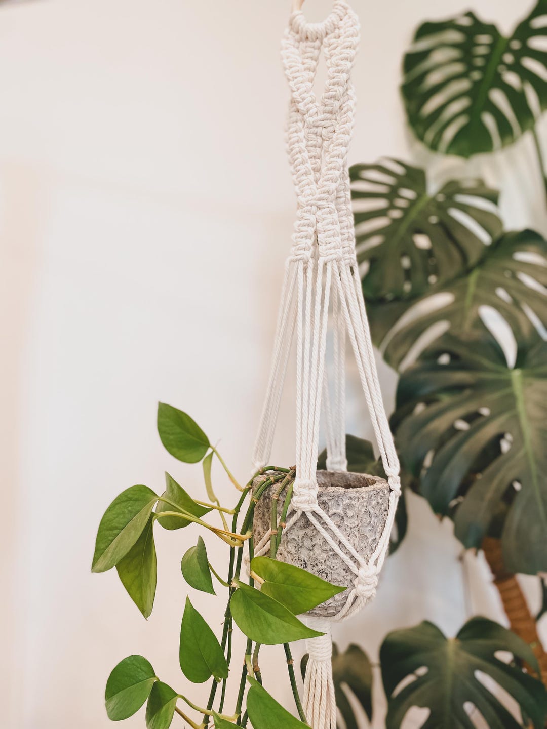 UPDATED Infinity Plant Hanger Macrame Gifts for Her Houseplants Unique ...