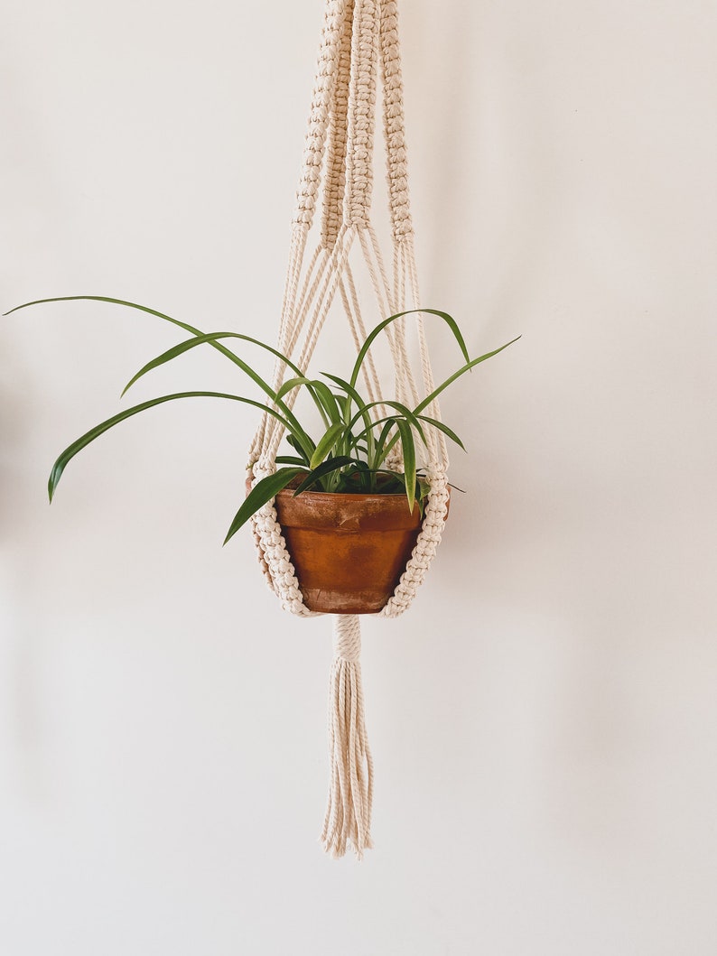 Classic Small Macrame Plant Hanger Set / Minimalist / Pothos / - Etsy
