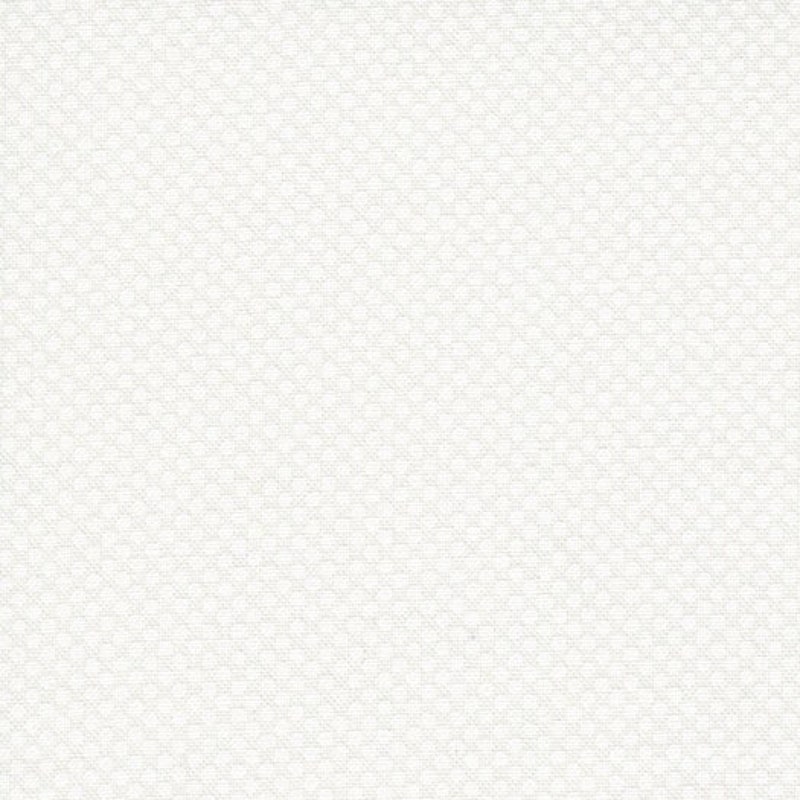 Coriander Print Art - Etsy