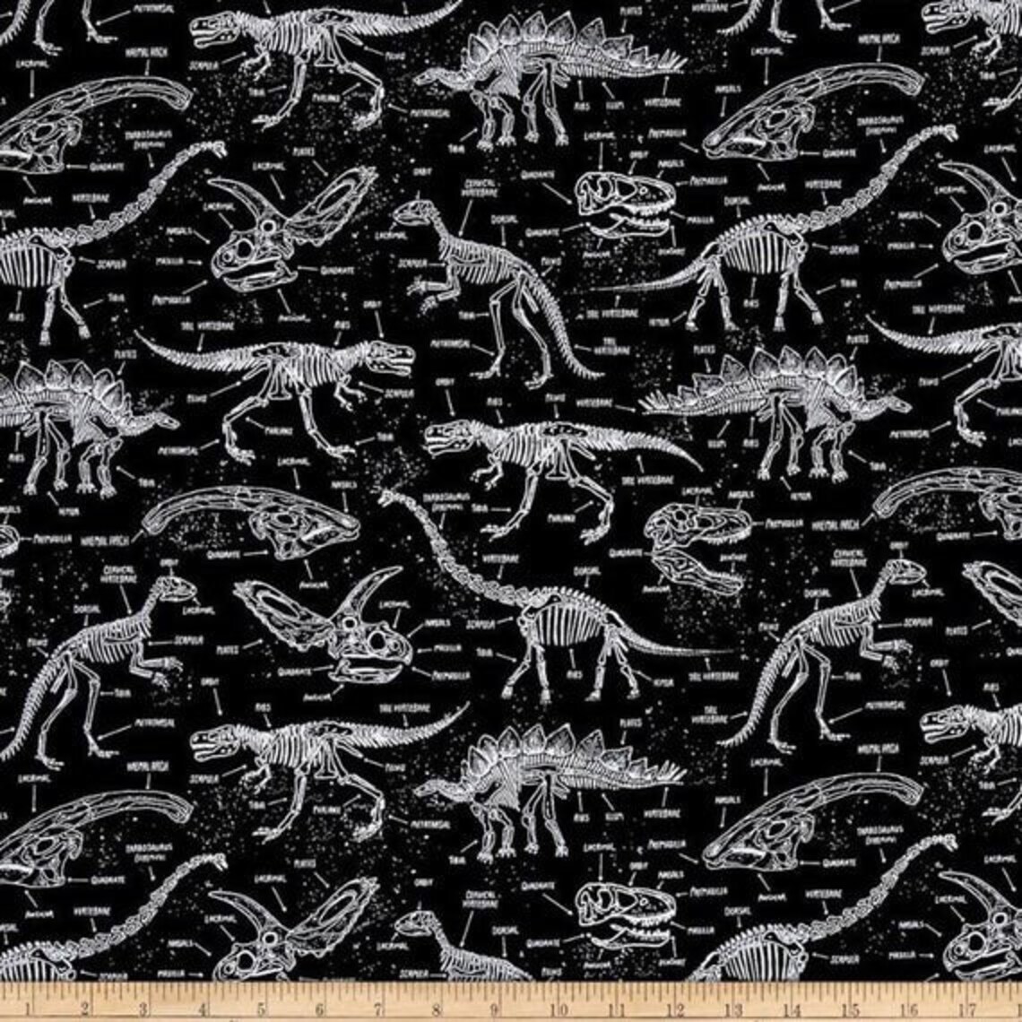 Dinosaur Fabric by the Yard Fossil Labeled Bones on Black - Etsy