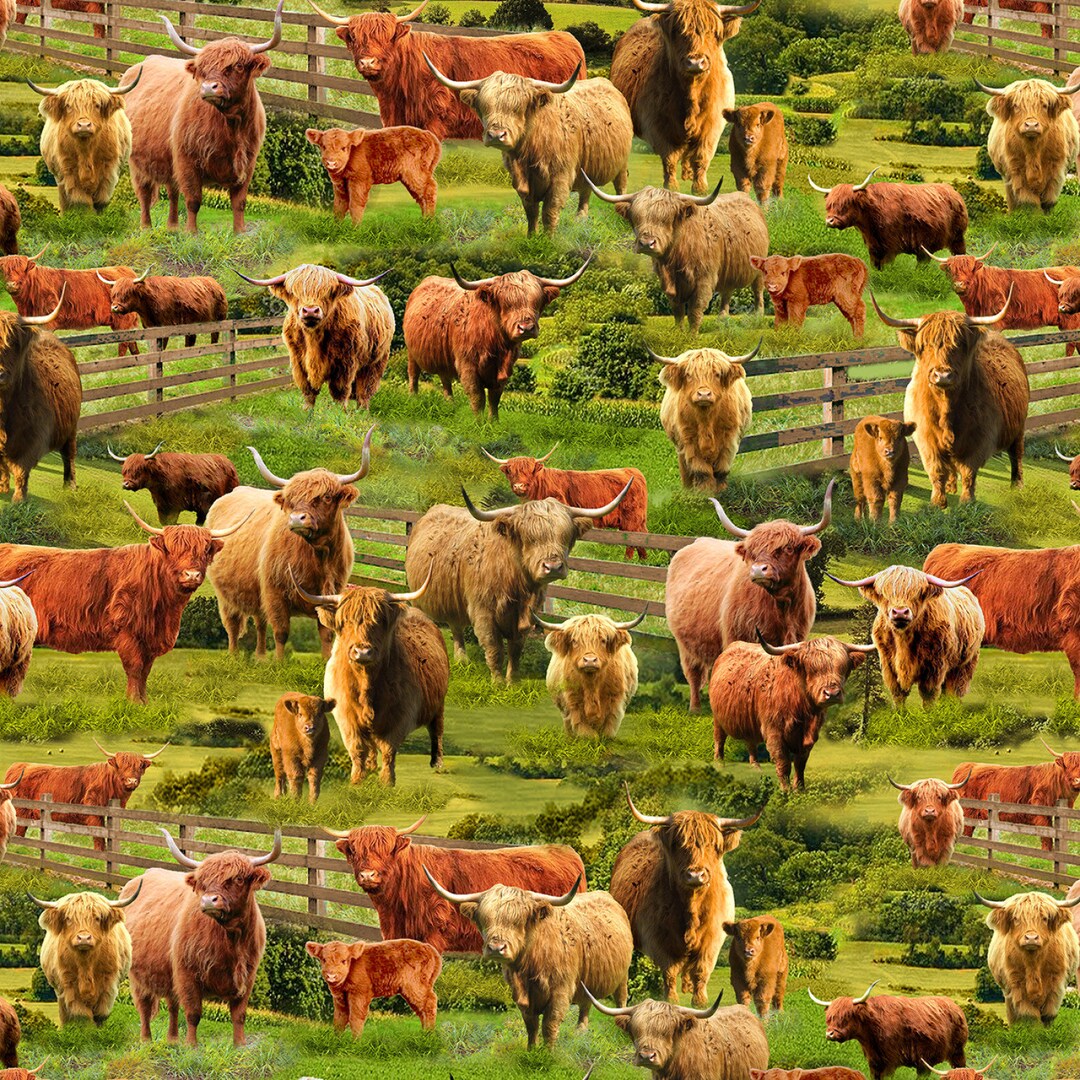 Cow Cotton Fabric by the Yard - Rolling Hills Highland Cows Multi ...
