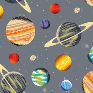 NASA Cotton Fabric by the Yard - Outer Space by NASA Main Gray - Riley ...