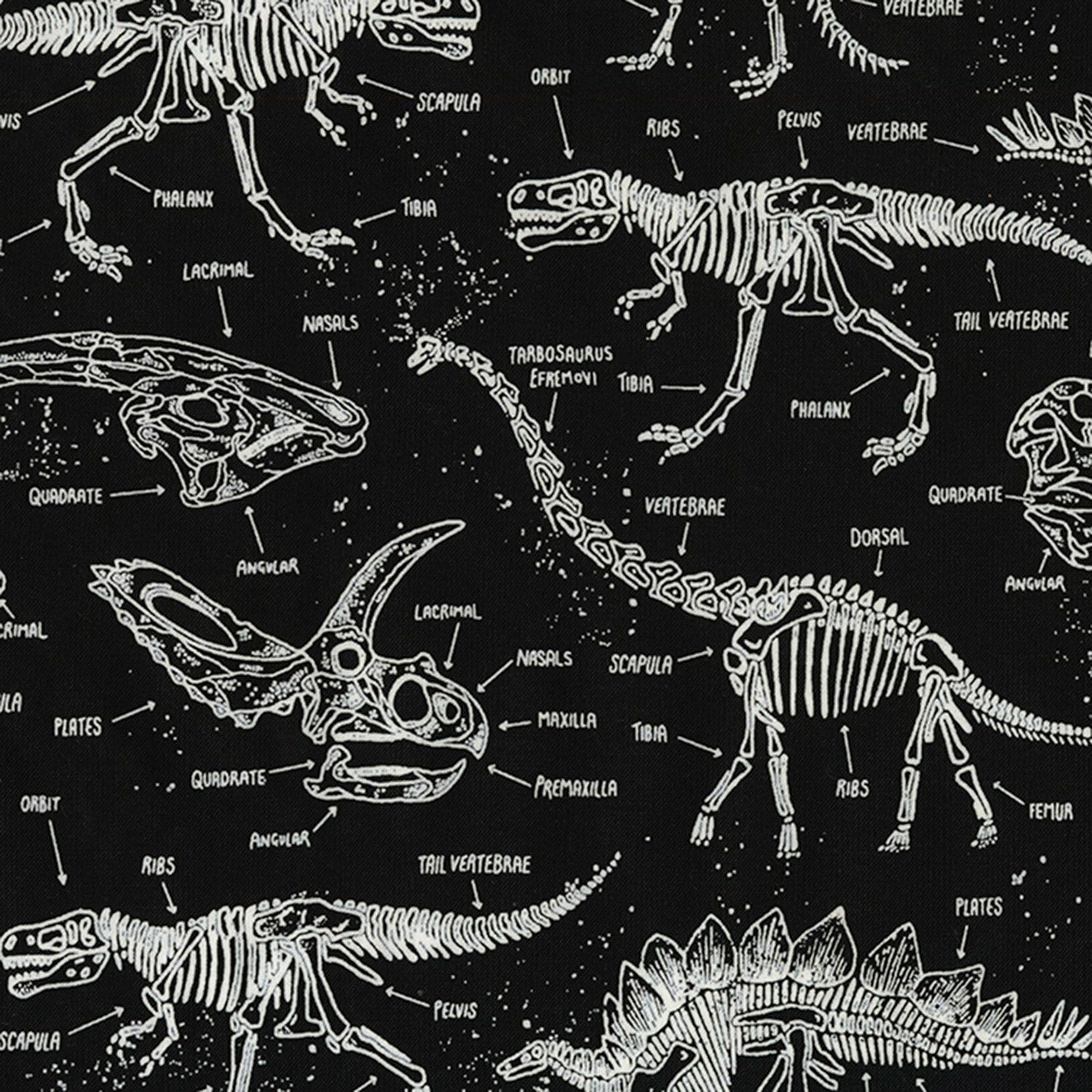 Dinosaur Fabric by the Yard Fossil Labeled Bones on Black - Etsy