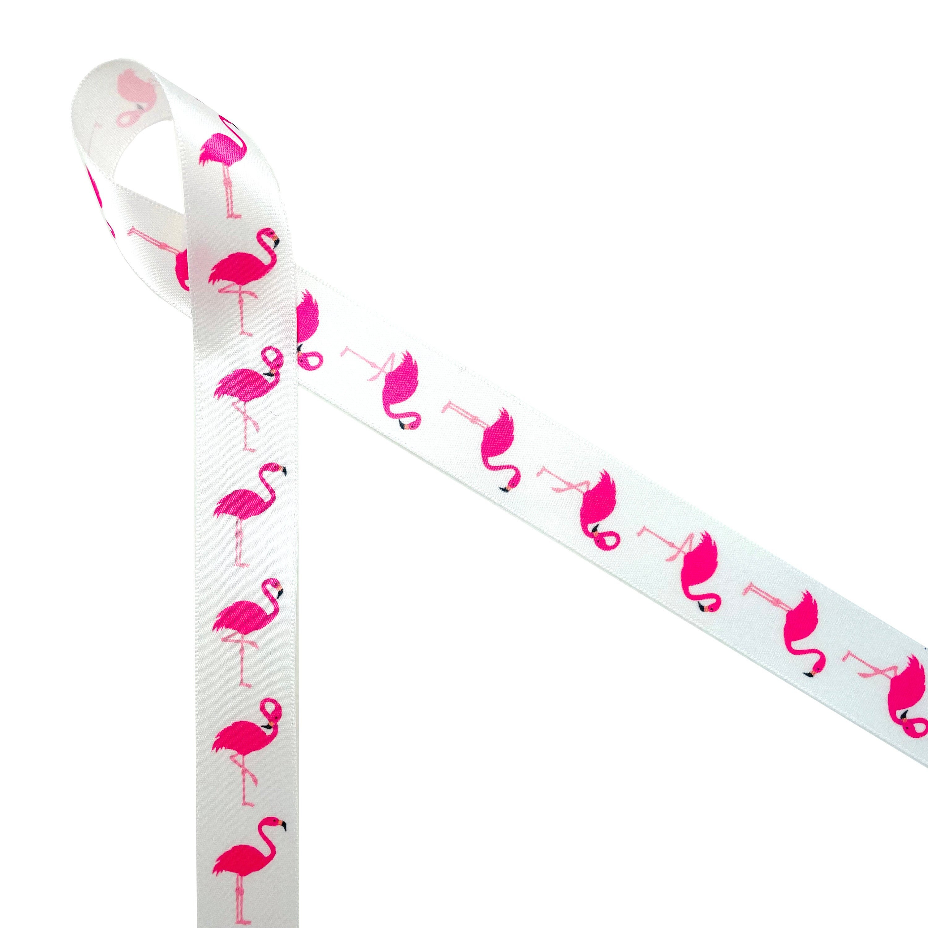 Flamingo Ribbon Fun for Beach Parties, Summer Party, Gift Wrap, Party ...