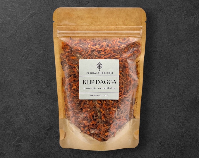 Klip Dagga • Lion's Ear, Leonotis Nepetefolia • 1 Oz Organic Flower ...