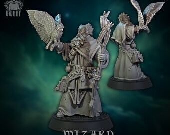 D&D Female Wizard / Sorcerer RPG Model Elisen the - Etsy