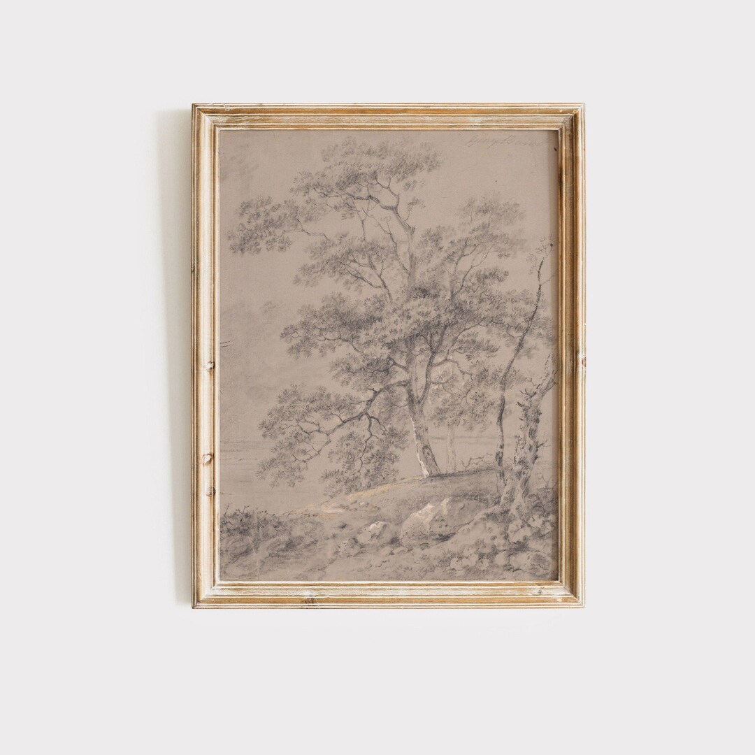 Vintage Tree Sketch, Antique Tree Drawings, Botanical Art, Farmhouse ...