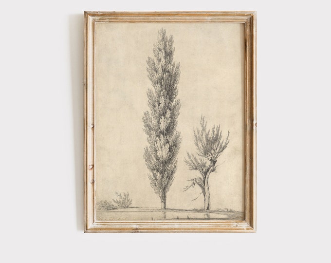 Etching Tree Art Set | Tree Sketch | Tree Drawing | Antique Sketch ...