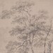 Vintage Tree Sketch, Antique Tree Drawings, Botanical Art, Farmhouse ...