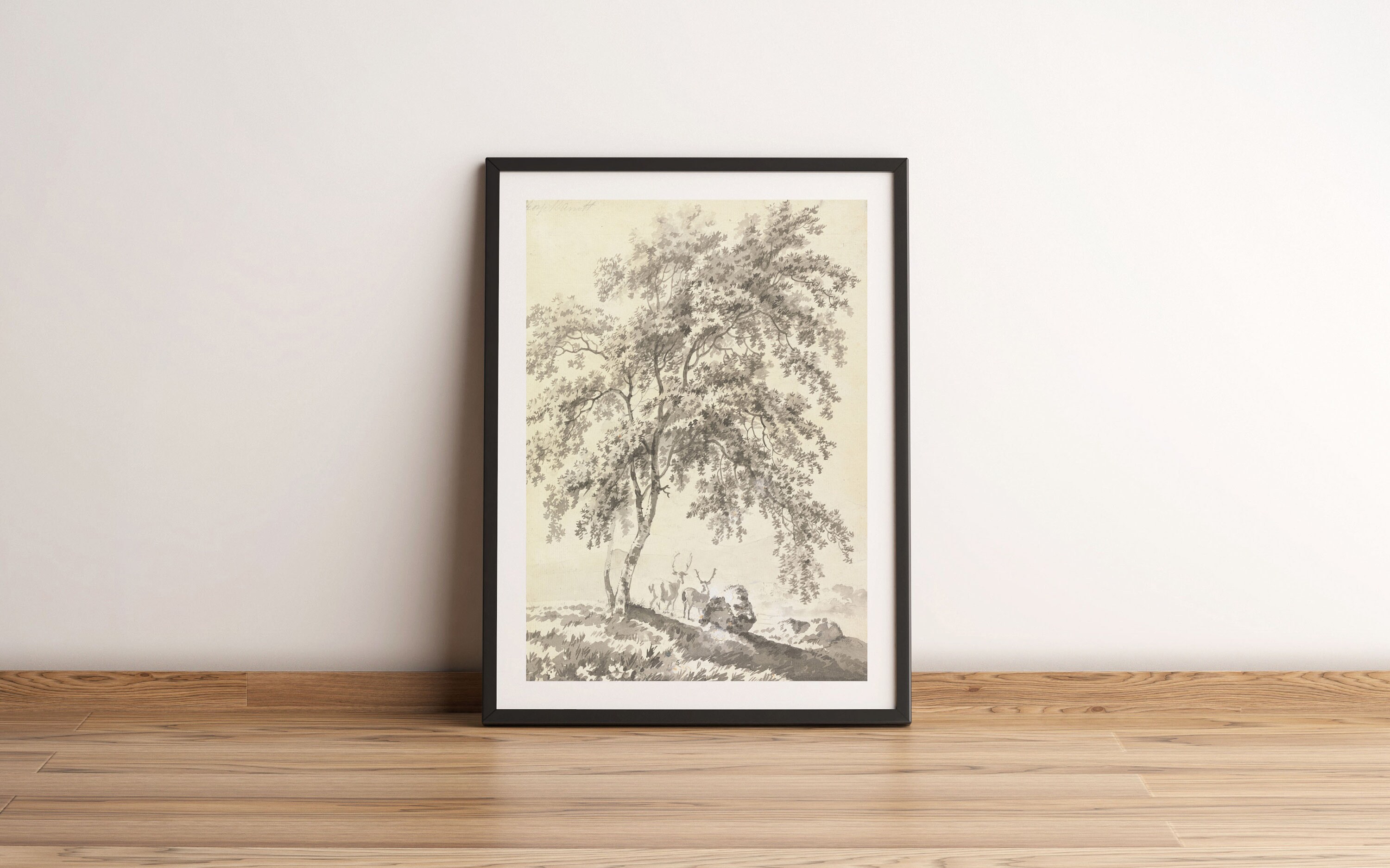 Vintage Tree Sketch, Antique Tree Drawings, Botanical Art, Farmhouse ...