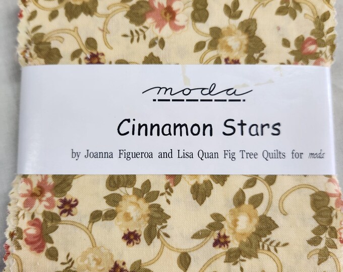 Cinnamon Stars by Joanna Figueroa & Lisa Quan of Fig Tree Quilts for ...