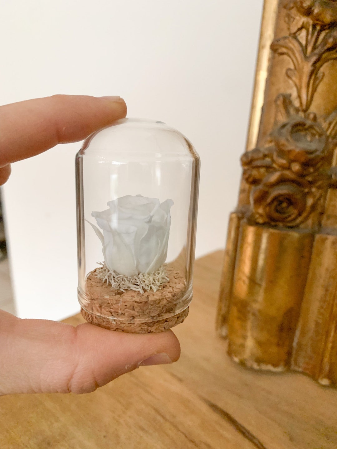 Mini Eternal Rose / Eternal Rose Under Bell / Mini Rose / Eternal ...