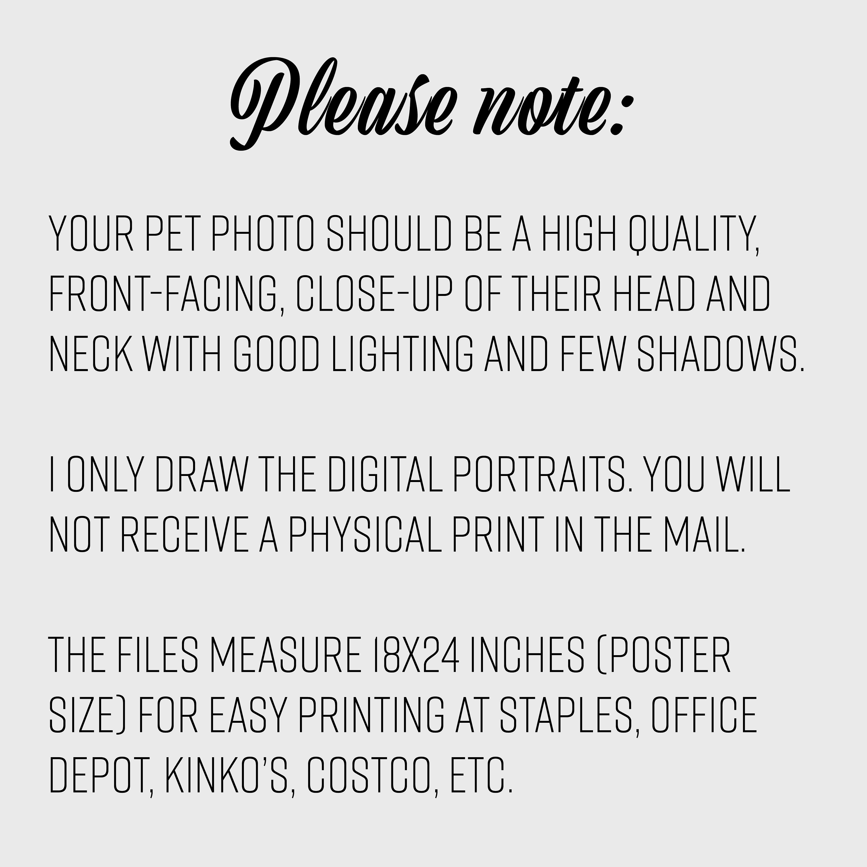 Custom Pet Portrait With Cursive Name | Printable Digital Illustration ...