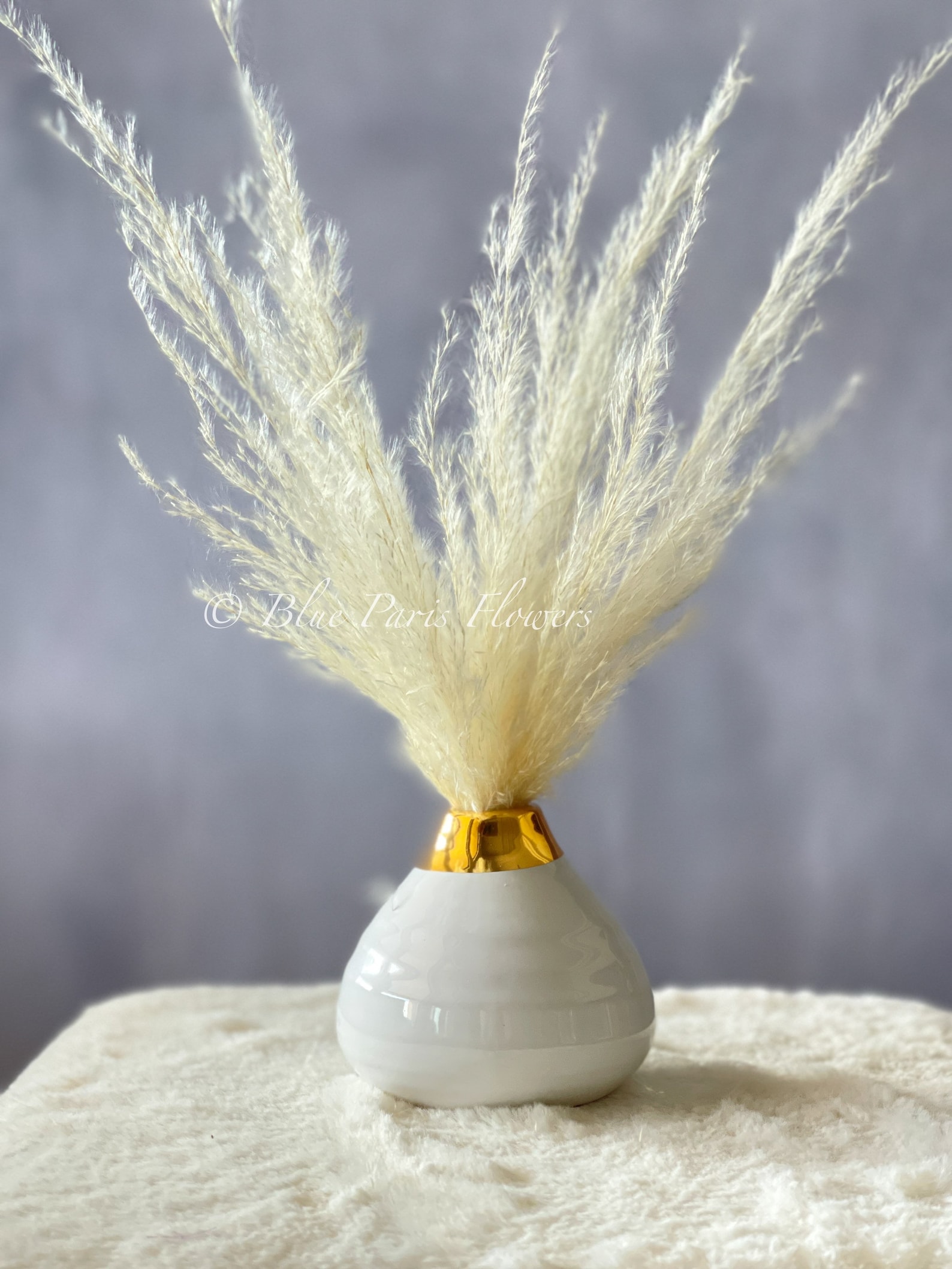 Short Cream Pampas Naturally Dried Grass Decor Pampas | Etsy