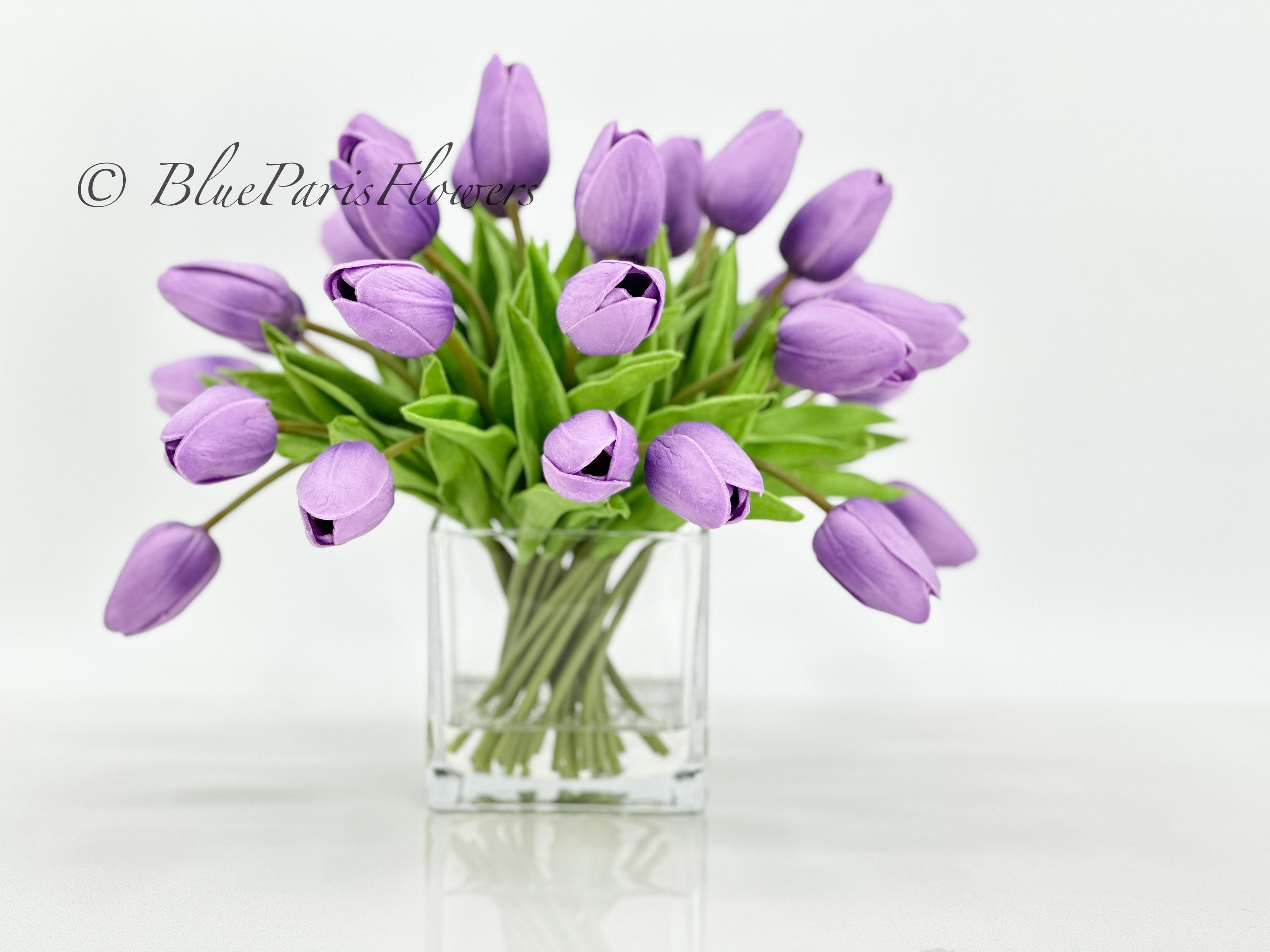 Blue And Purple Tulips