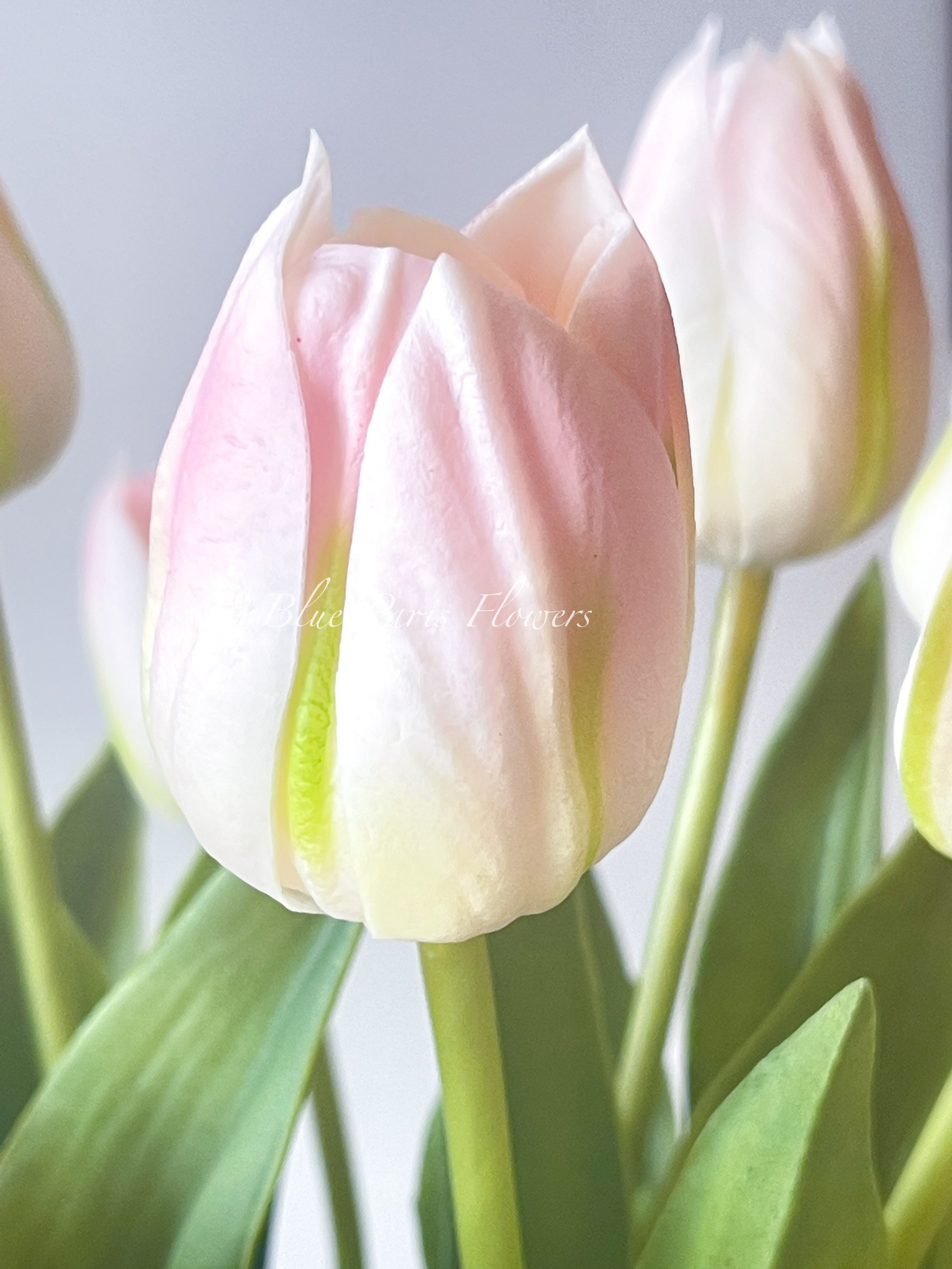 20 Blush Pink Real Touch Tulips Modern Arrangement - Etsy