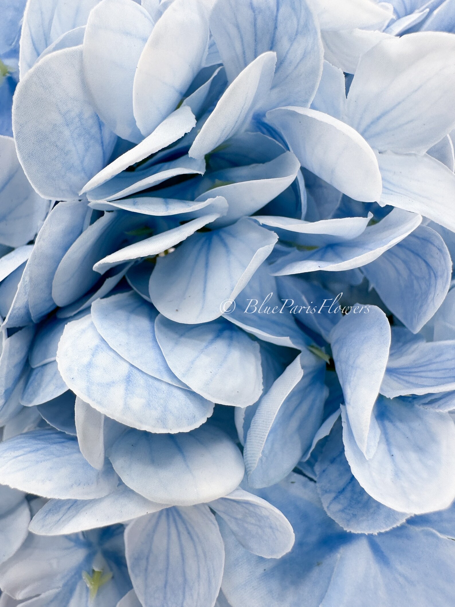 Blue REAL TOUCH Hydrangeas in Vase Artificial Faux Flower - Etsy