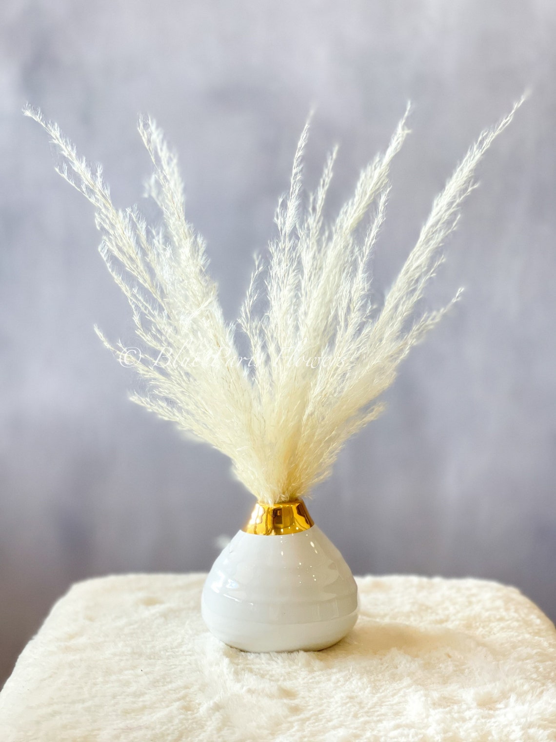 Short Cream Pampas Naturally Dried Grass Decor Pampas | Etsy