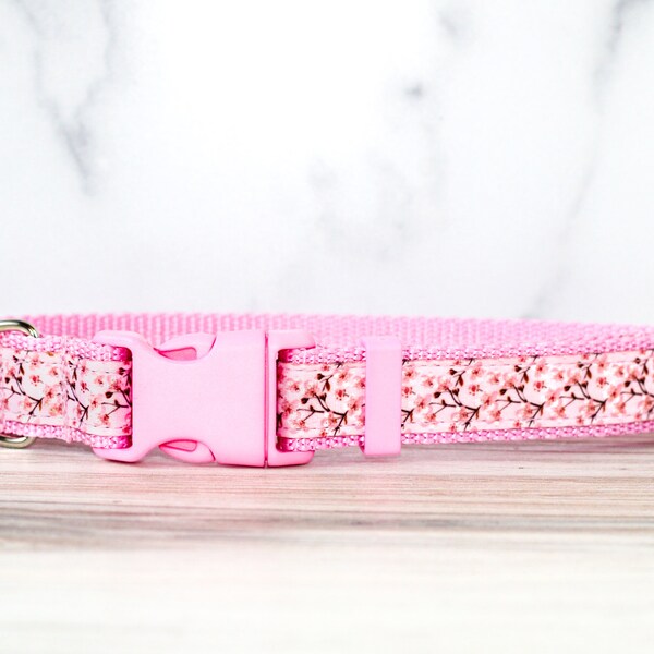 Spring Dog Collar - Etsy