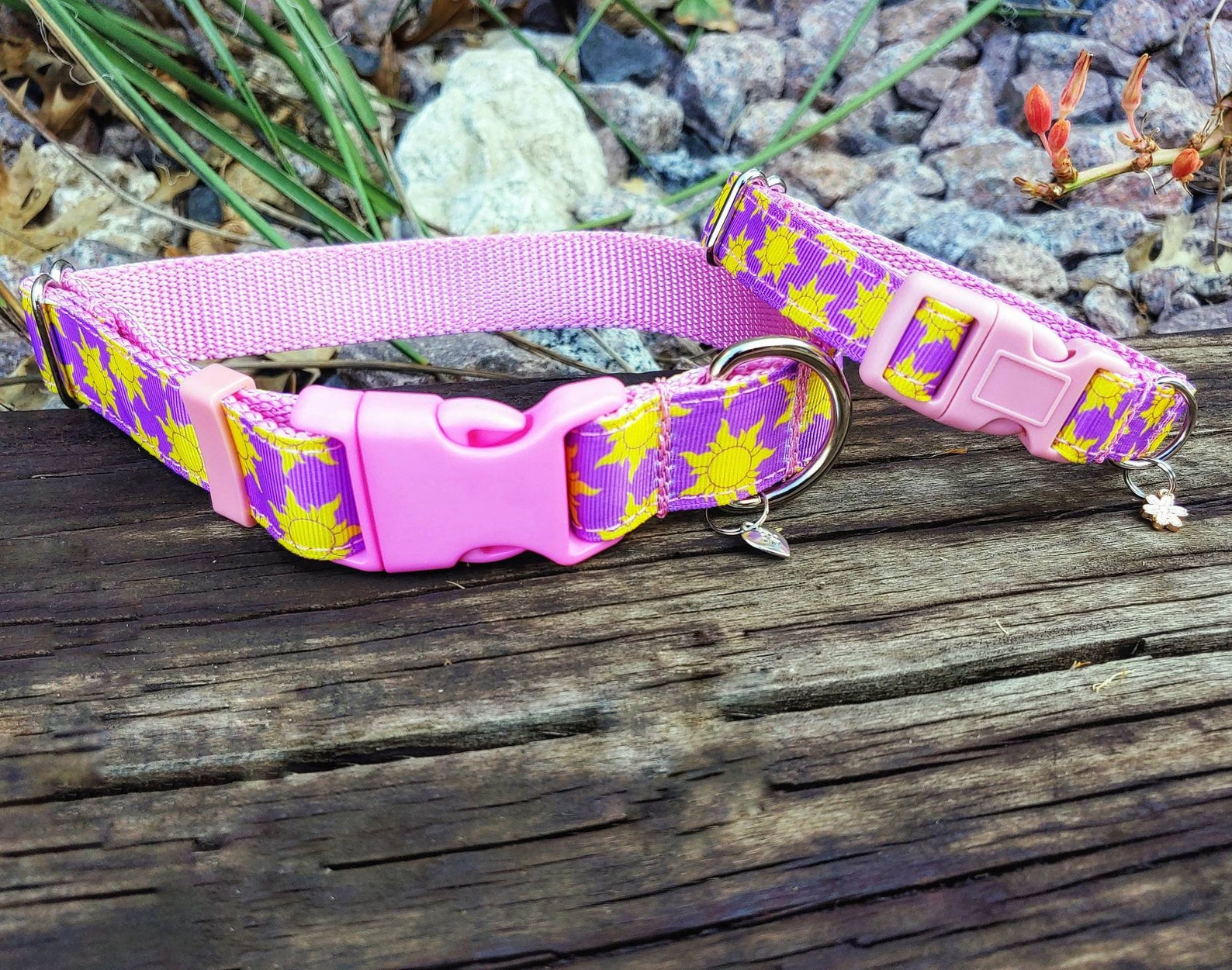 Rapunzel dog collarDisney Tangled Dog collar Disney | Etsy