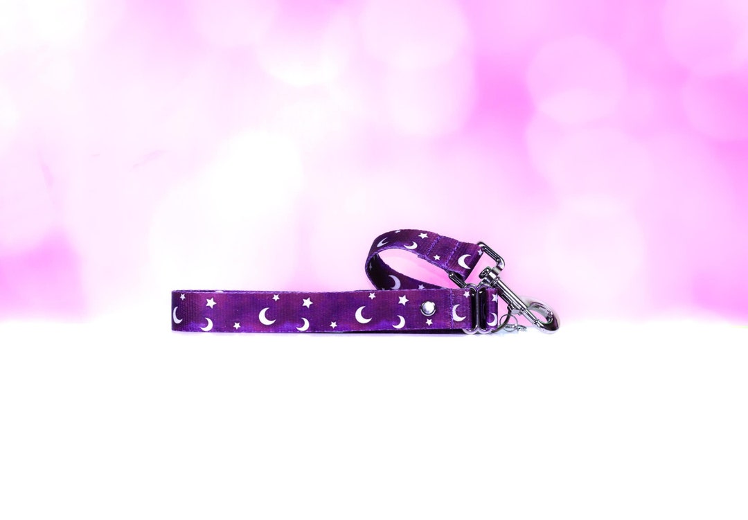 Purple Galaxy Dog Leash: Celestial Moon & Star Pet Accessory - Etsy