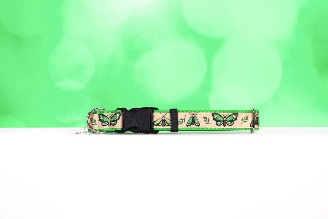 Lunar Moth , Green Dog Collar, Moth and Moon Collar, Breakaway Cat ...
