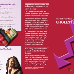 Heart Health Brochure Lower Your Cholesterol Packet of 25 - Etsy