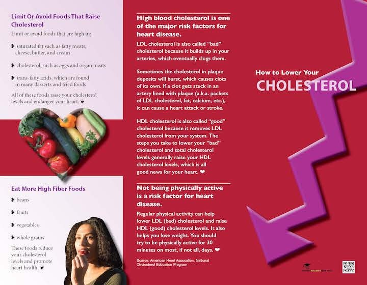 Heart Health Brochure Lower Your Cholesterol Packet of 25 - Etsy