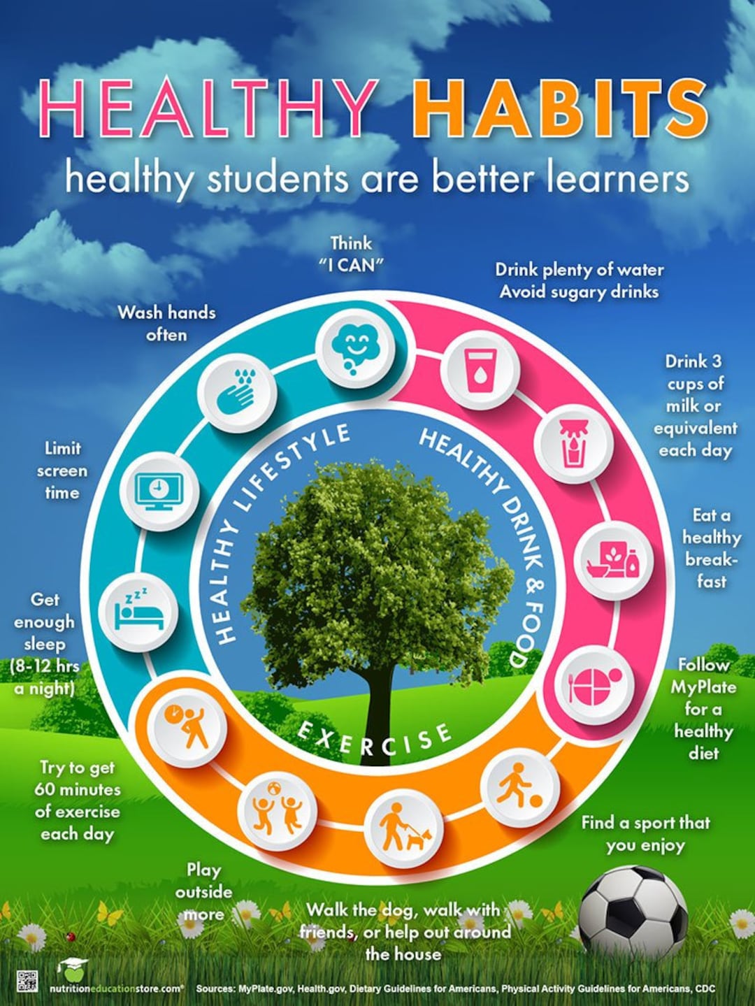 Healthy Habit Wheel Poster - Classroom School Poster - Health Poster ...