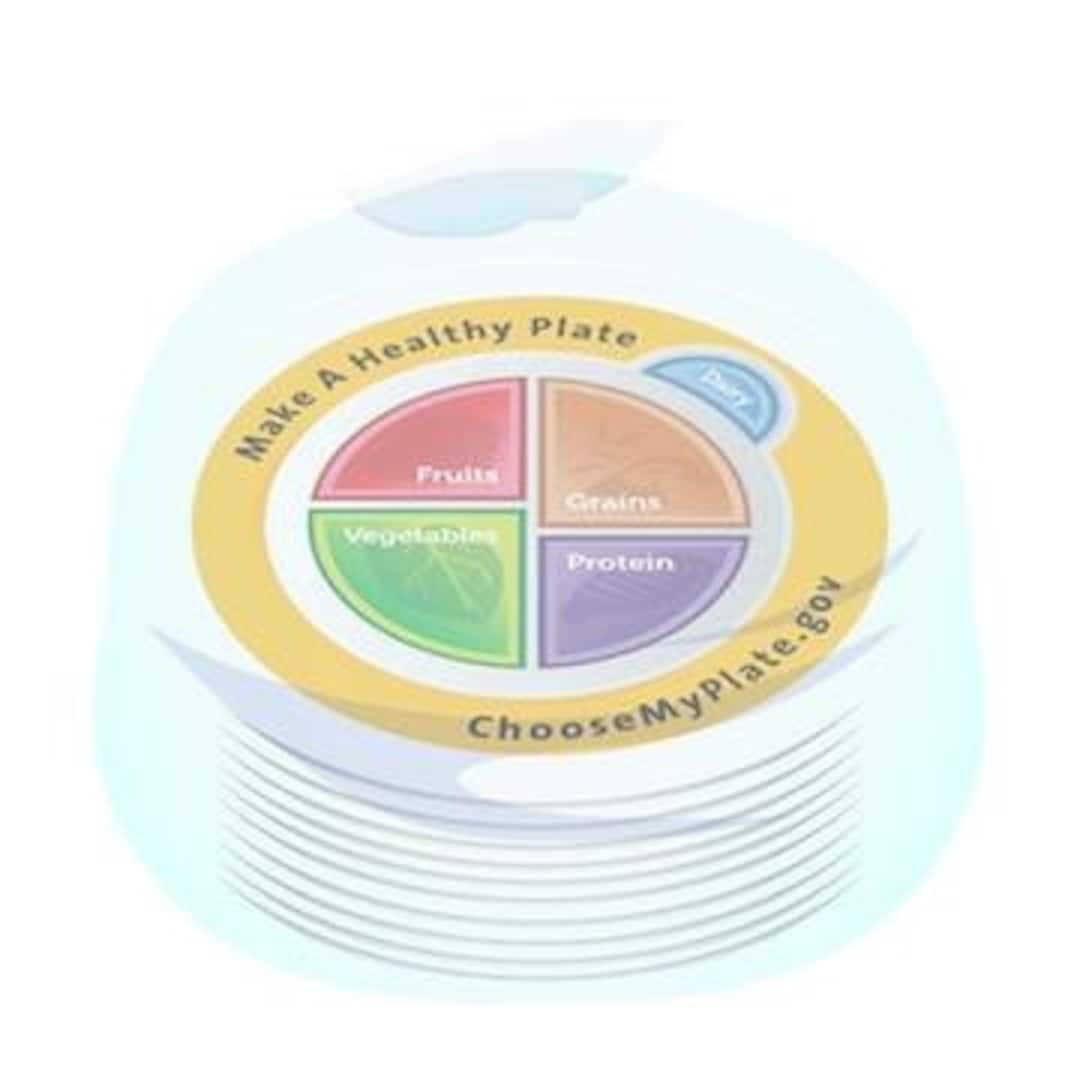 50 Pack Myplate Plate Plastic Nutrition Education Store Exclusive ...