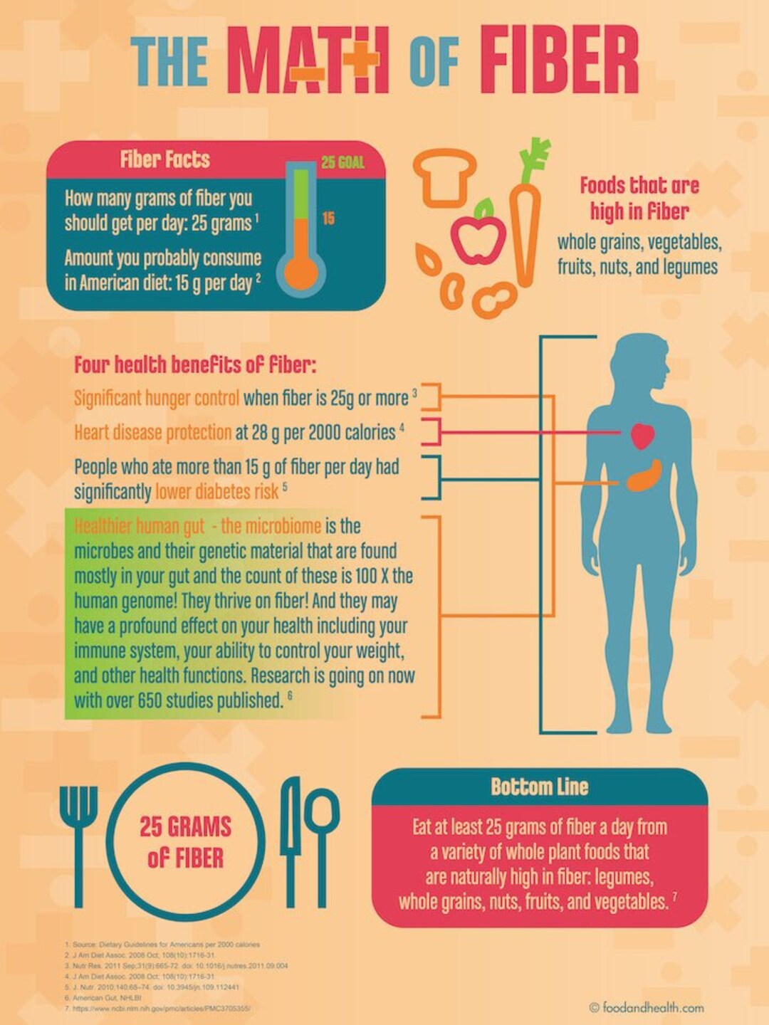 The Math of Fiber Poster - 18" X 24" Laminated Poster - Nutrition ...