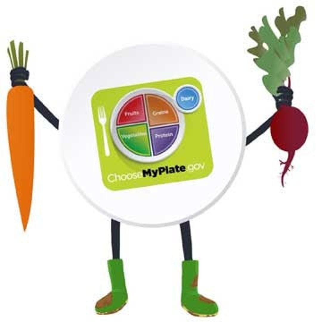 Myplate Vegetable Stickers 2 Pack of 100 - Etsy
