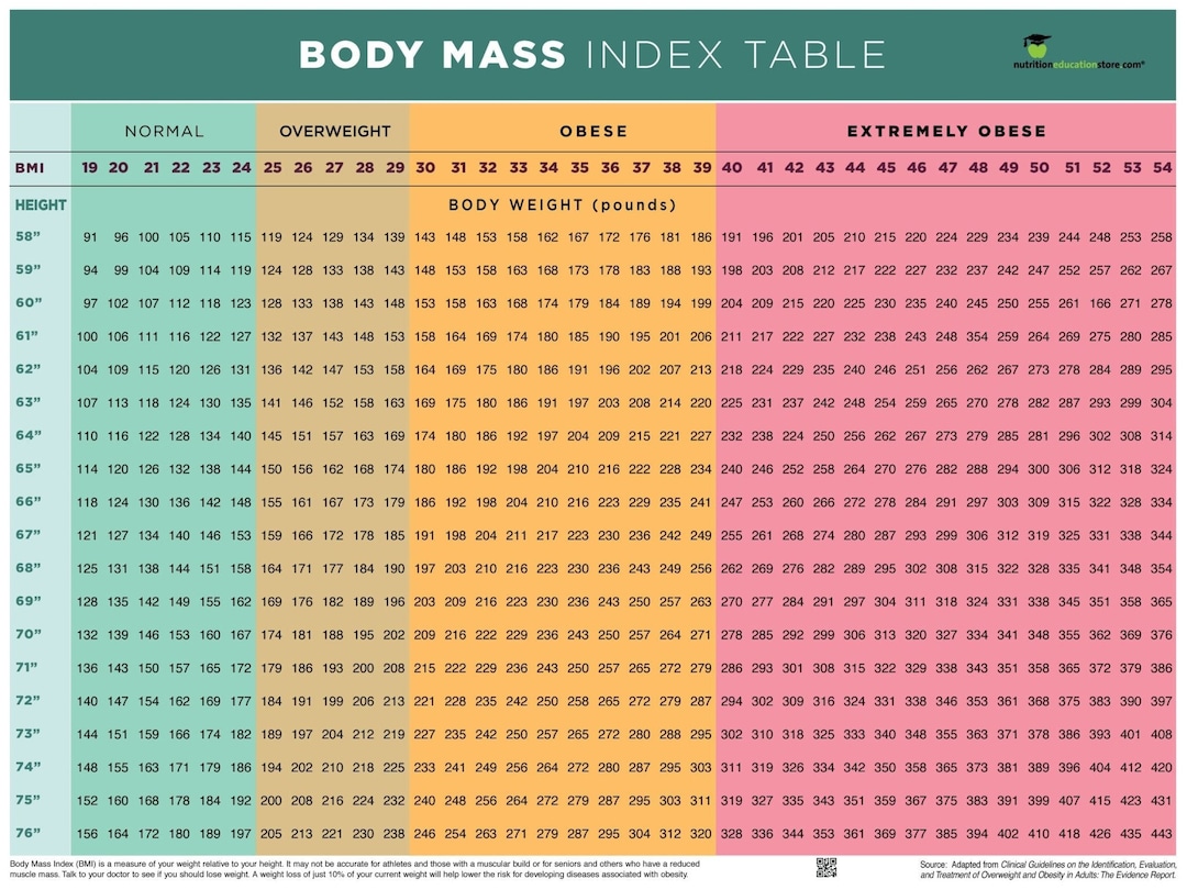 BMI Poster - BMI Chart Poster - Body Mass Index Poster - 12" X 18" Exam ...