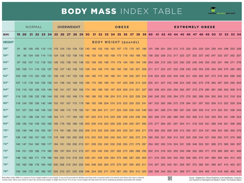 BMI Poster - BMI Chart Poster - Body Mass Index Poster - 12" X 18" Exam ...