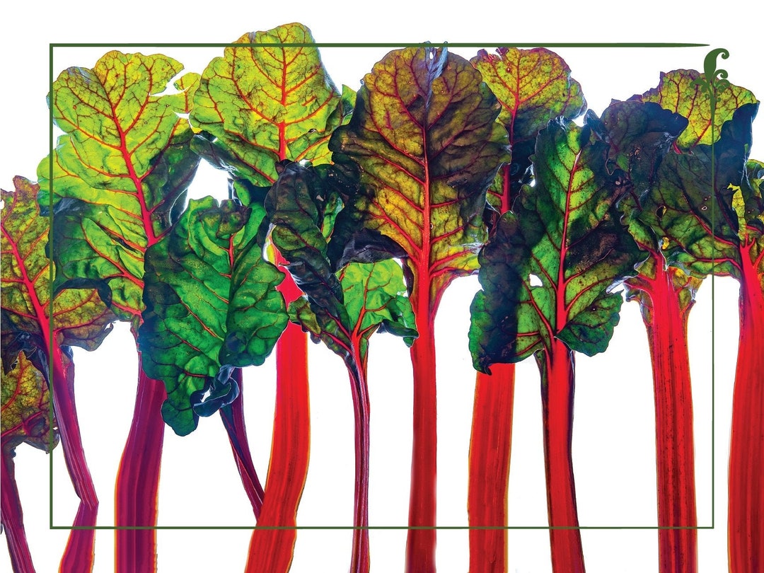 Rainbow Chard 18" X 24" Vinyl Wall Decal Poster - Local Foods - Farmer ...