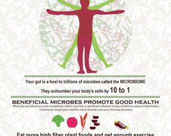 Gut Health Poster - Etsy