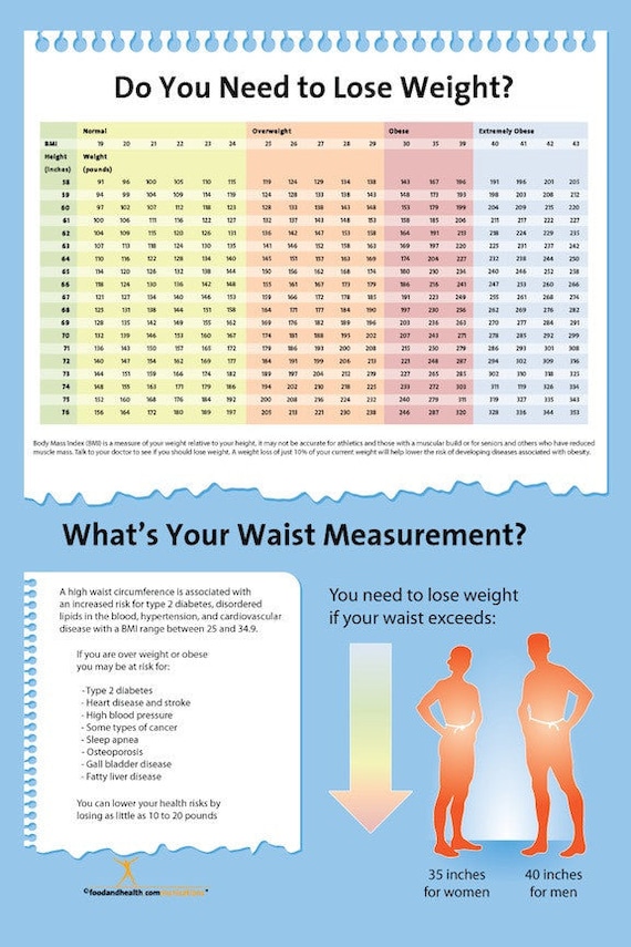 Weight Loss Bmi Chart