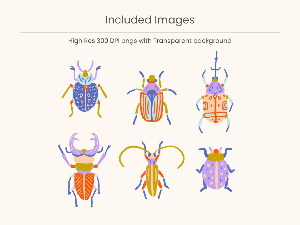 Cute Bug and Insects Clipart, Whimsy Clipart Bundle, Commercial Use ...